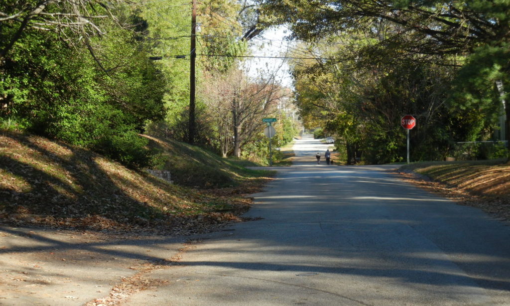 Mr. Tigrett’s Rebel Streamliners – Jackson, Tennessee